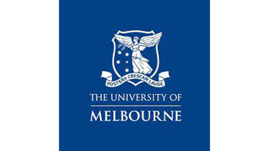 AO Fellowship in Medical Education Research