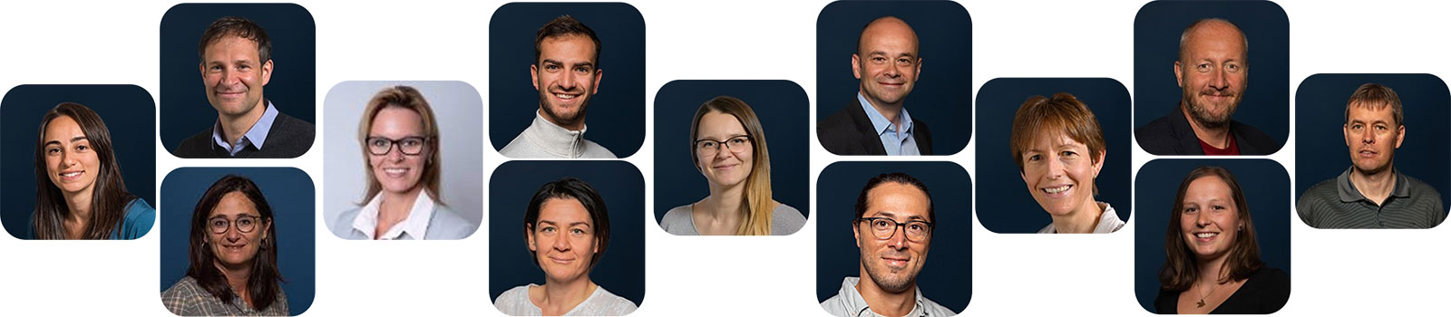 Diversity and inclusion