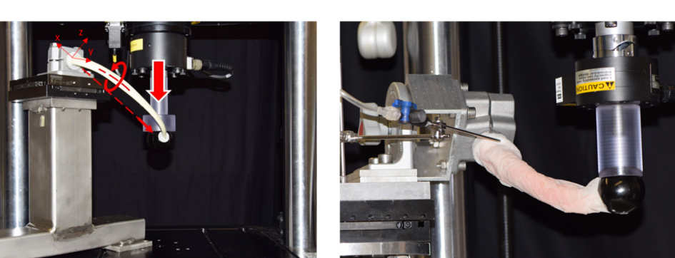Biomechanical investigation of intrathoracic versus extrathoracic rib ...